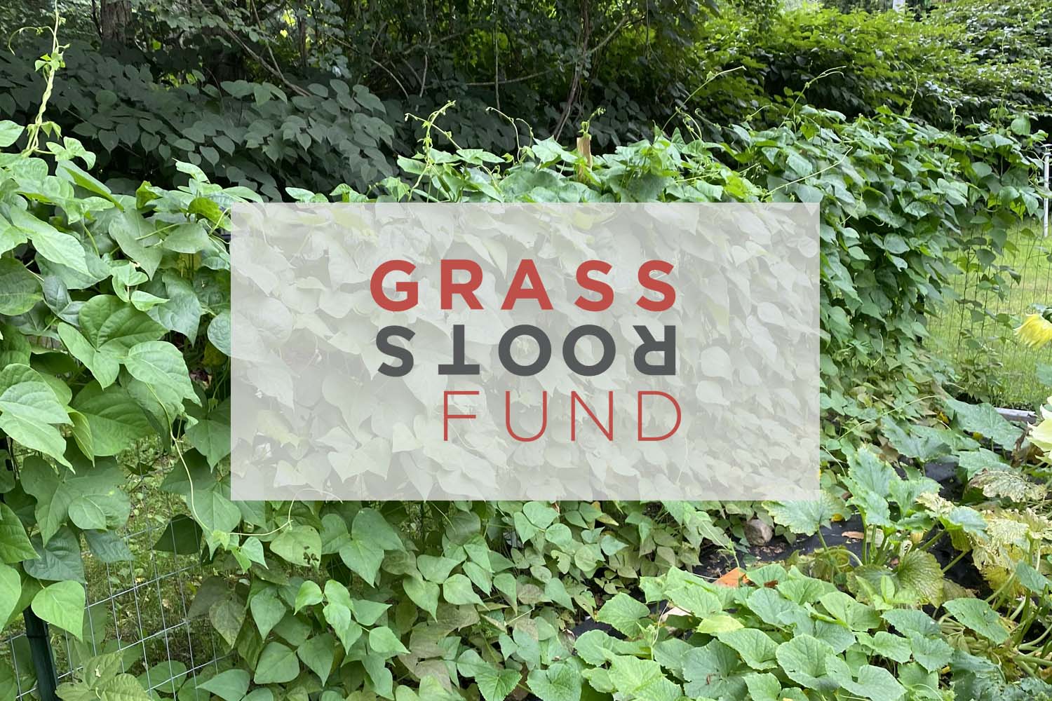 Indigenous Peoples Network selected for Grassroots Fund Cohort - Pocasset Pokanoket Land Trust