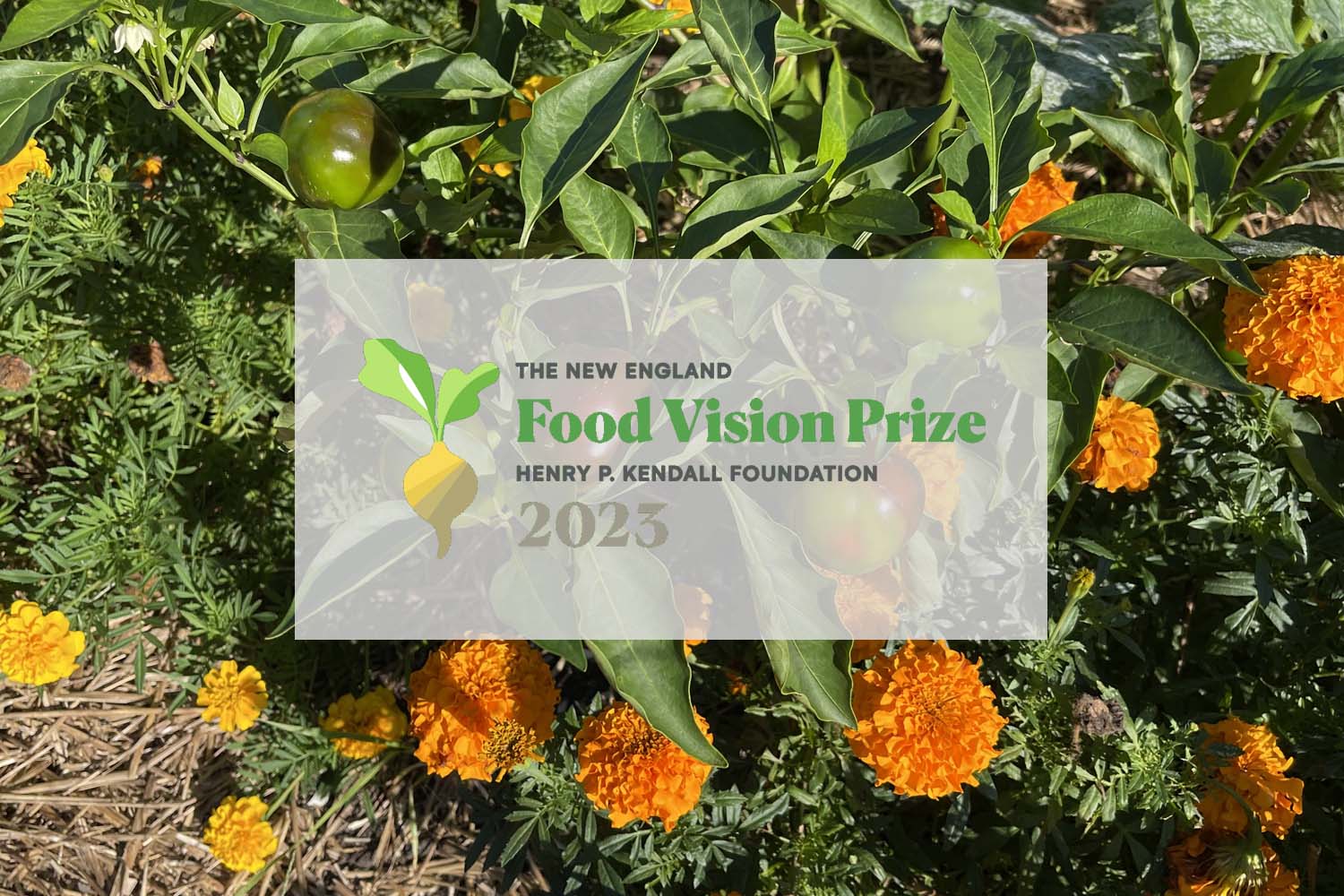 PPLT Named 2023 New England Food Vision Prize Winner - Pocasset ...