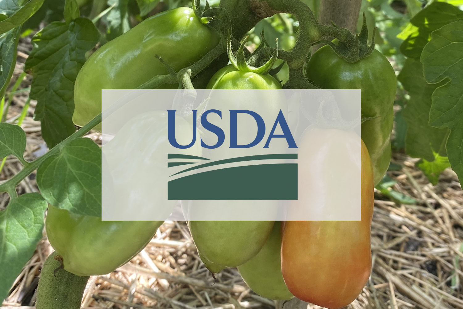 Pocasset Pokanoket Land Trust to partner with NRCS to help New England ...