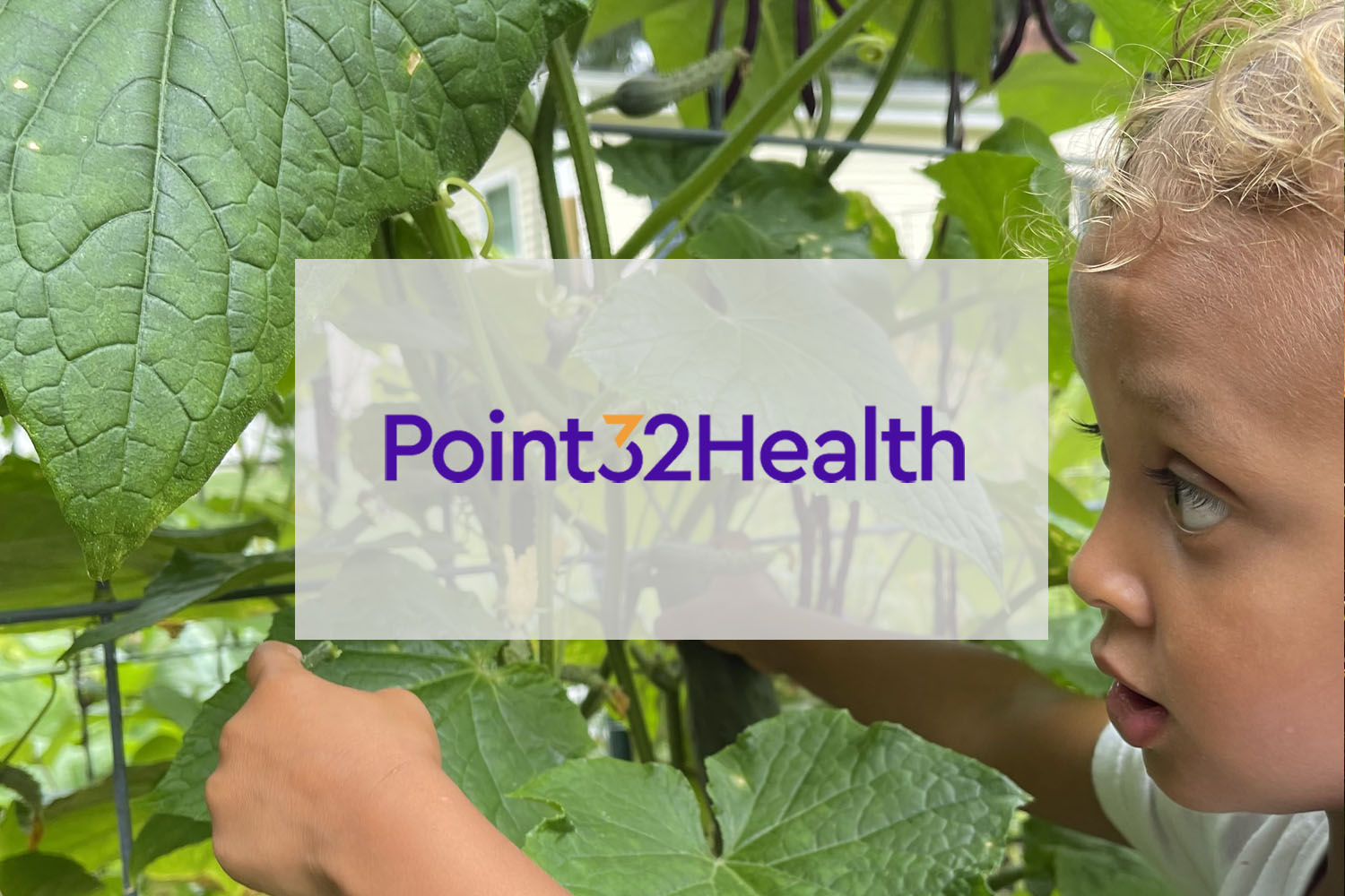 Point32Health to partner with Pocasset Pokanoket Land Trust on ...