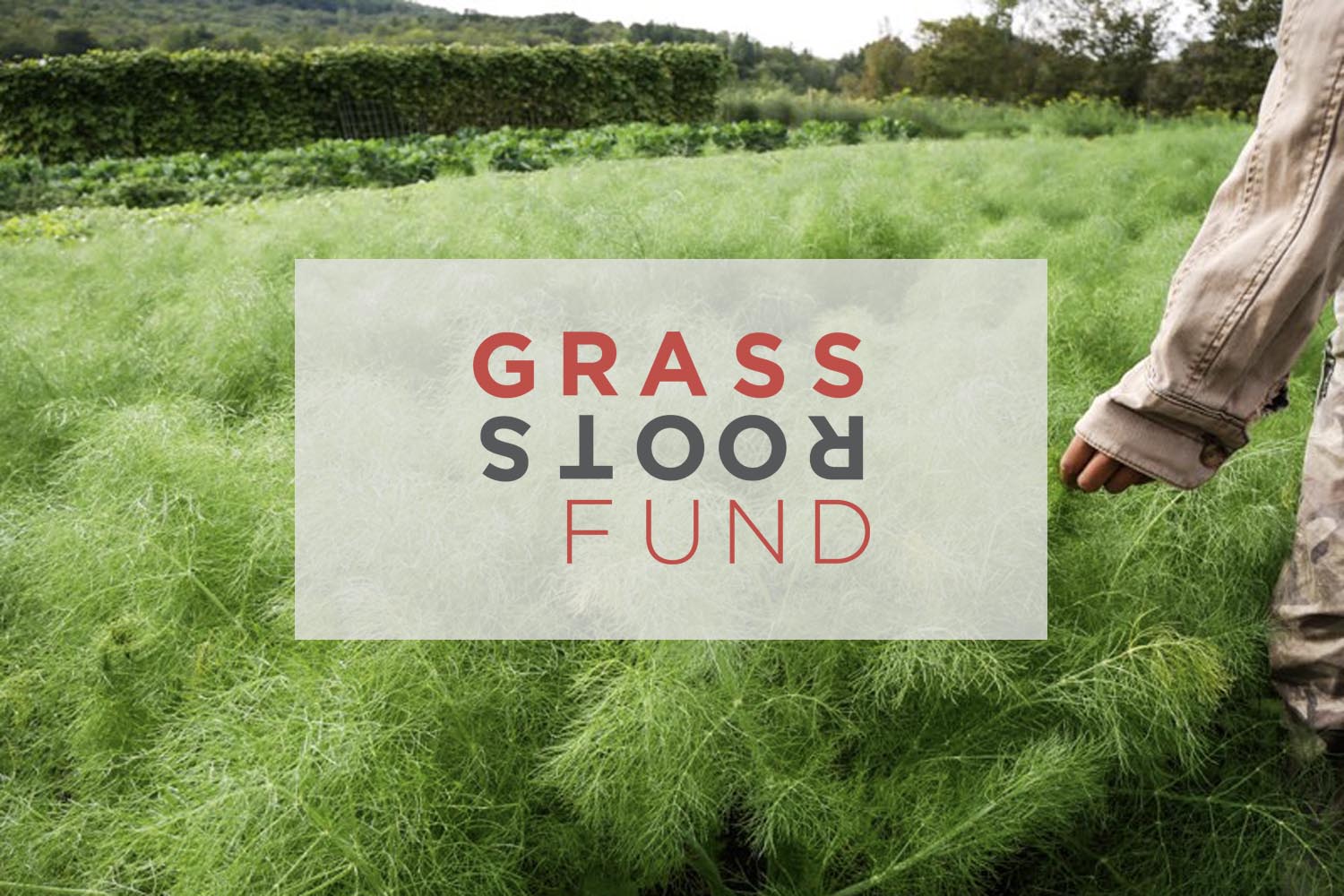 Indigenous People's Network Named a Fall 2025 Grow Grantee - Pocasset ...